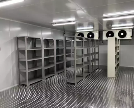 What Is The Difference between A Cold Room And A Cool Room? - First ...